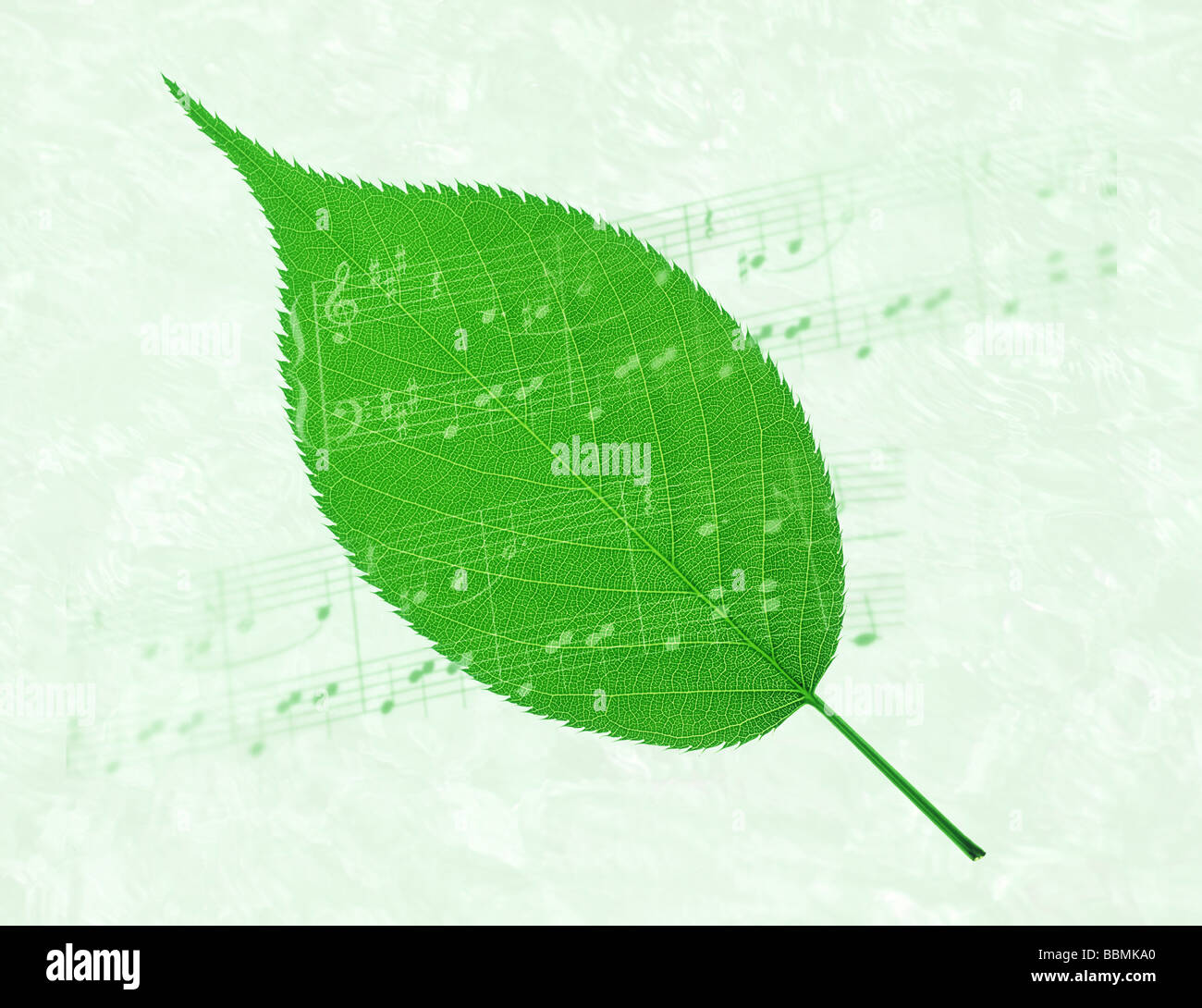 View of a leaf with musical notes (digital composite Stock Photo - Alamy