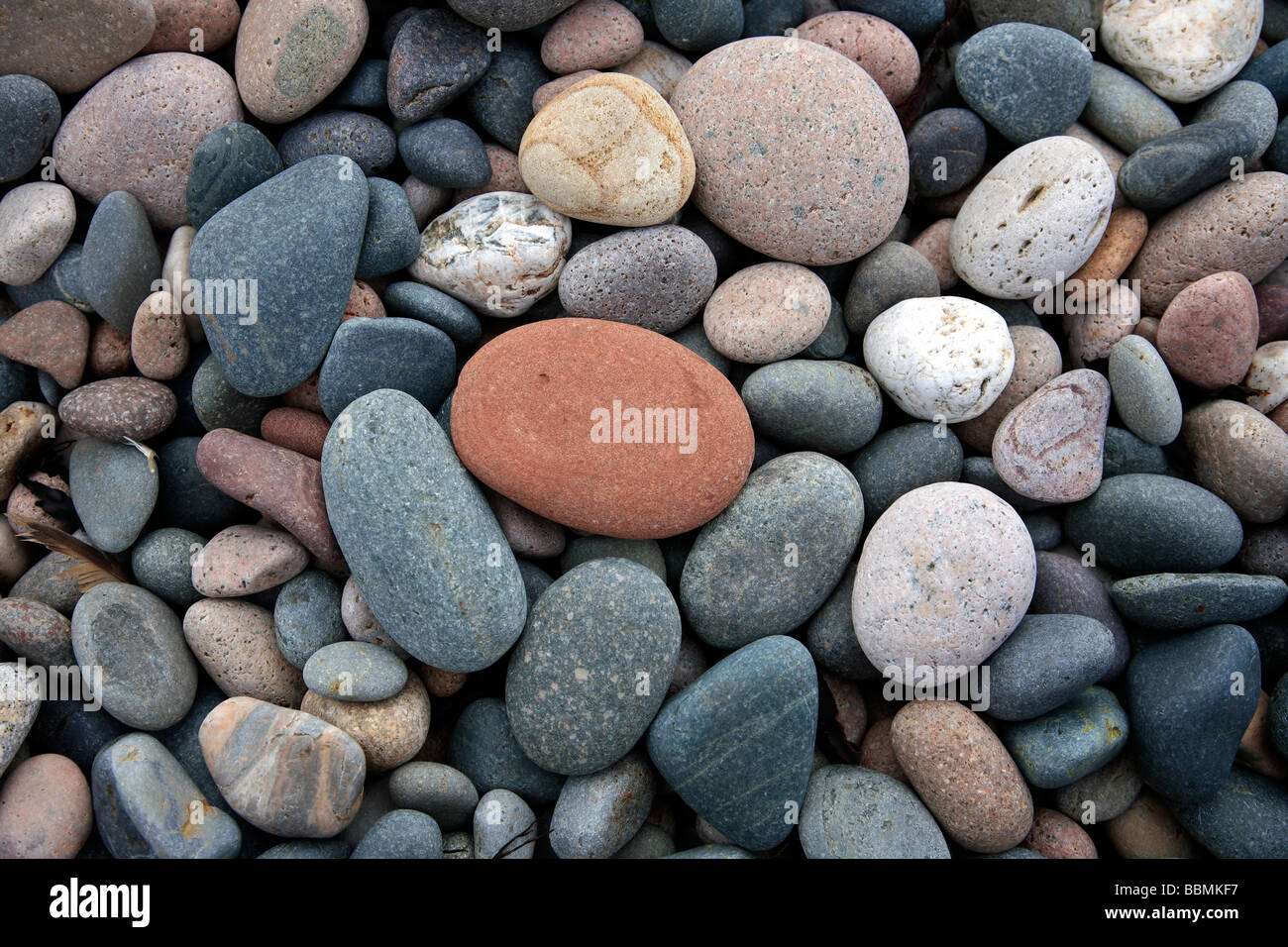 Colourfull Pebble Patterns on a beach Stock Photo - Alamy