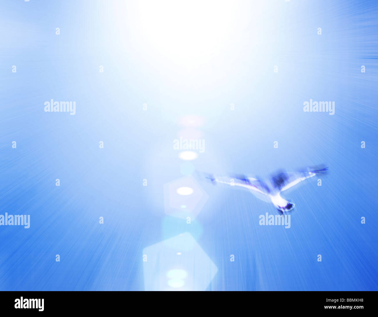 View of bird flying against sun (digital composite Stock Photo - Alamy