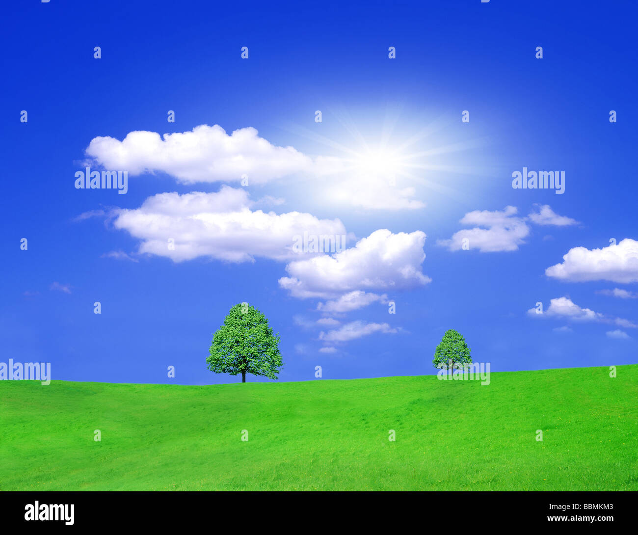 View of green field Stock Photo - Alamy