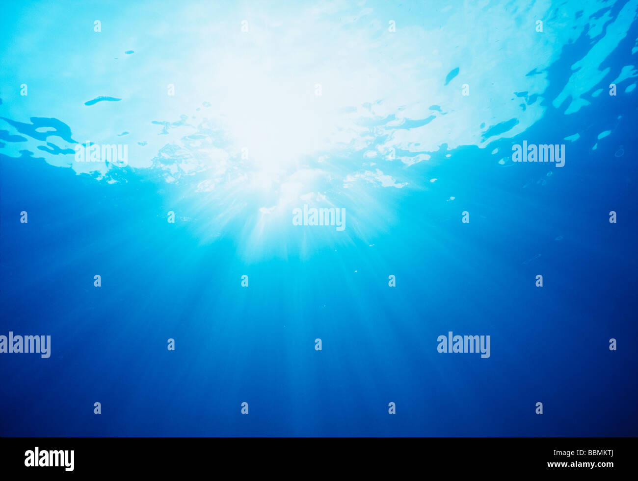 Underwater view of sunlight Stock Photo - Alamy