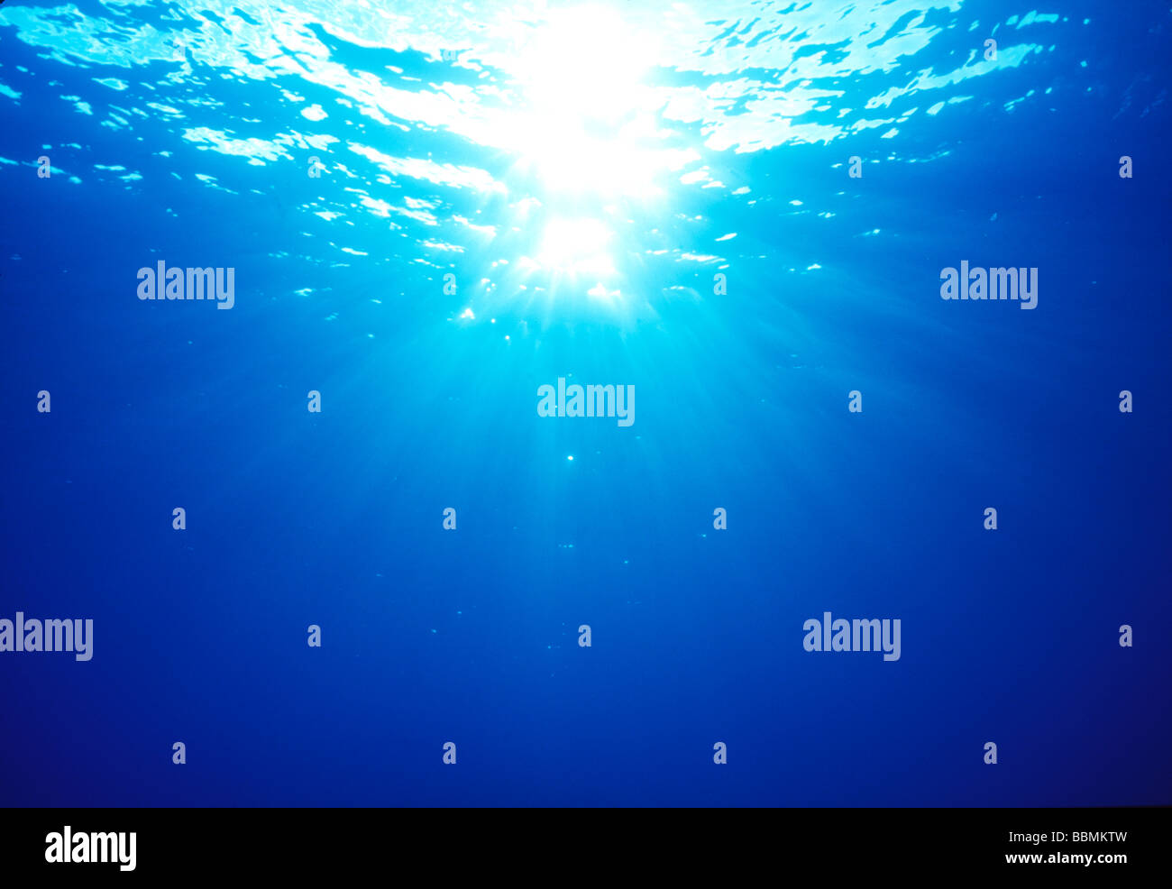 Underwater view of sunlight Stock Photo - Alamy
