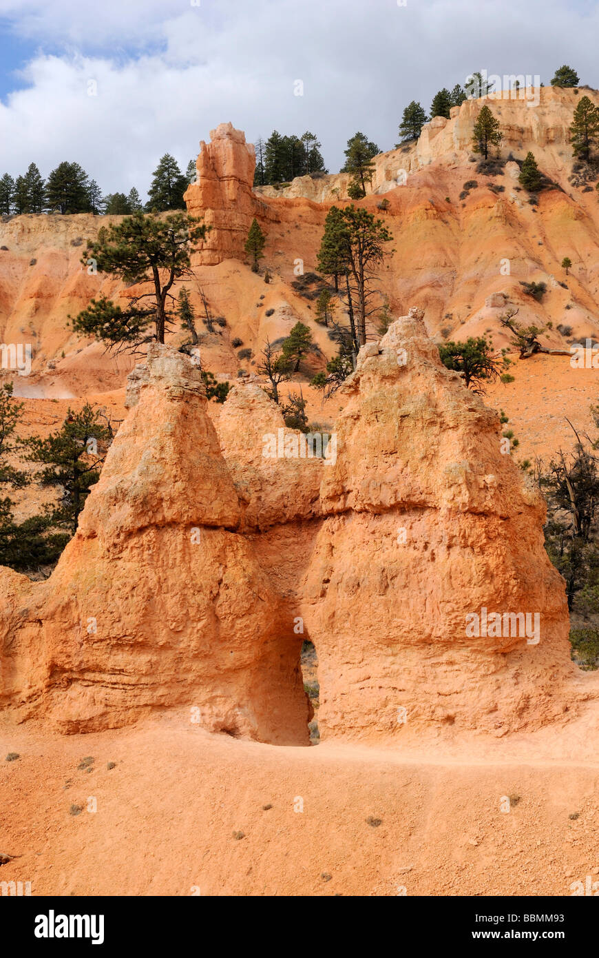 Limestone rock needles, Hoodoos, Bryce Canyon National Park, Utah, USA ...