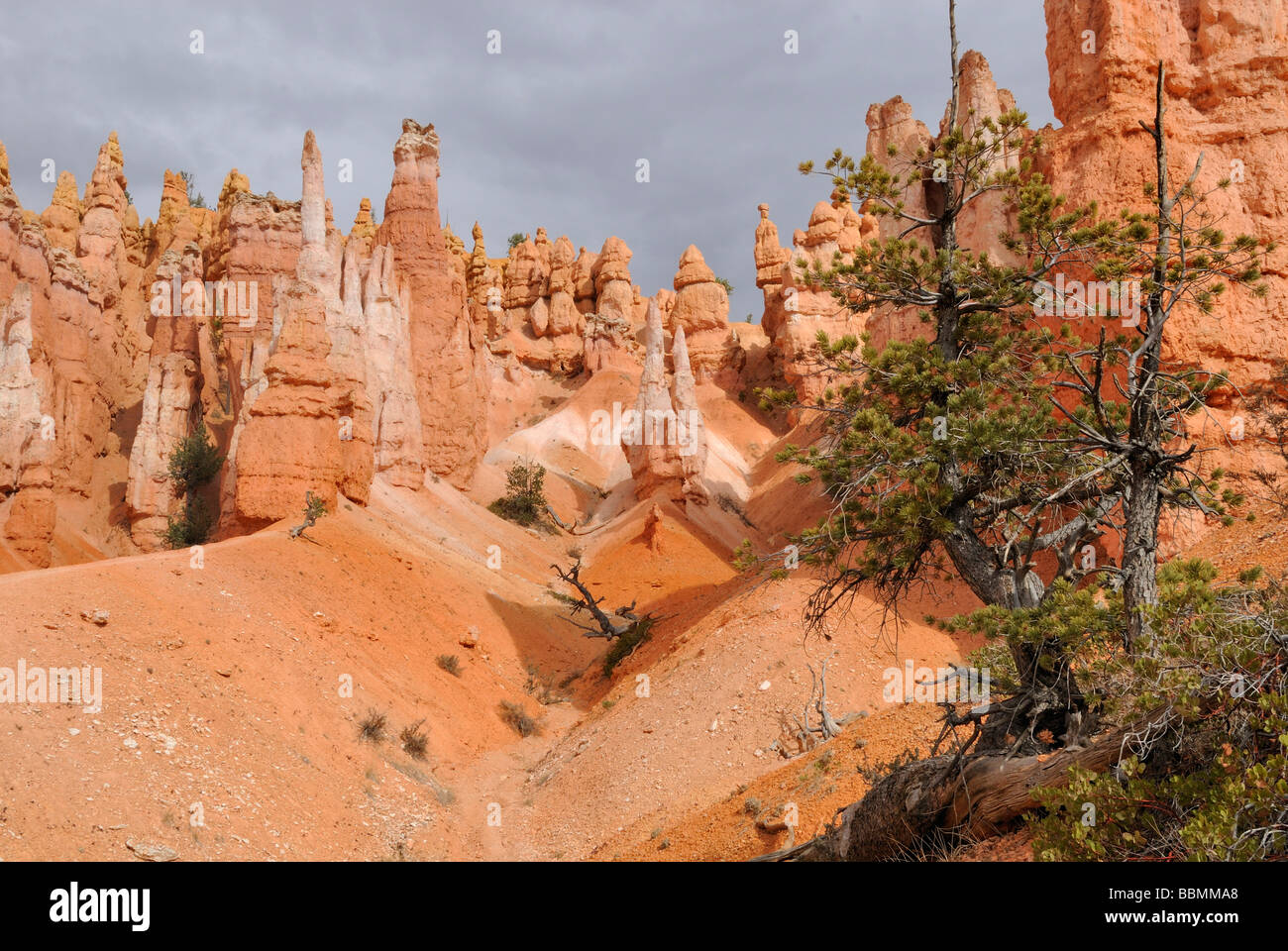 Hoodoos aus kalkstein hi-res stock photography and images - Alamy