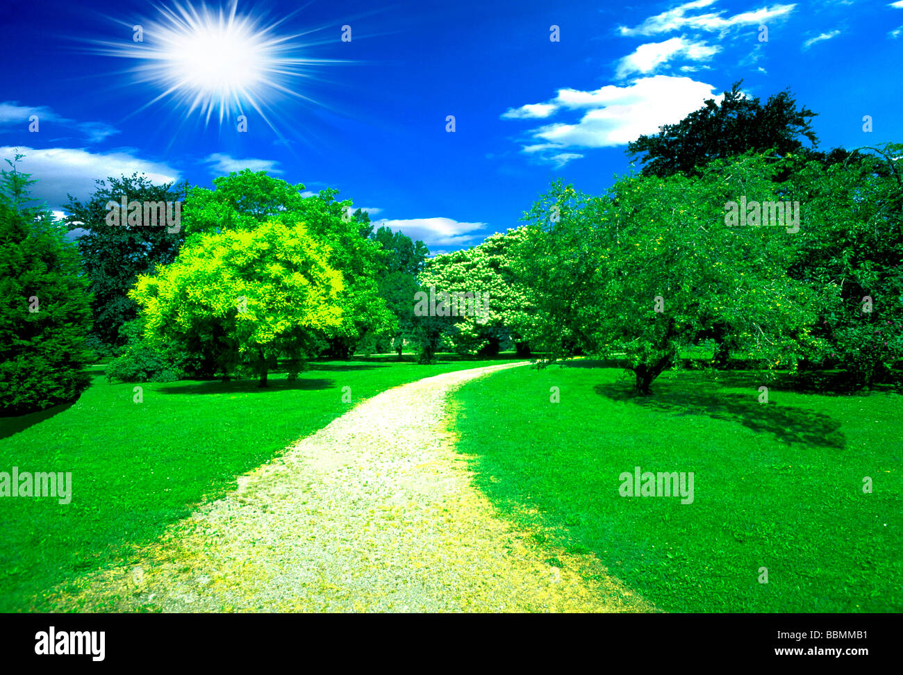 View of pathway amid trees Stock Photo - Alamy