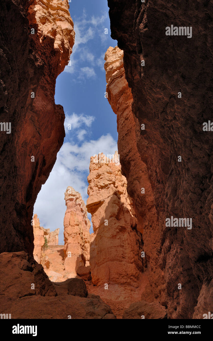 The Wall rock, limestone needles called Hoodoos in Bryce Canyon ...