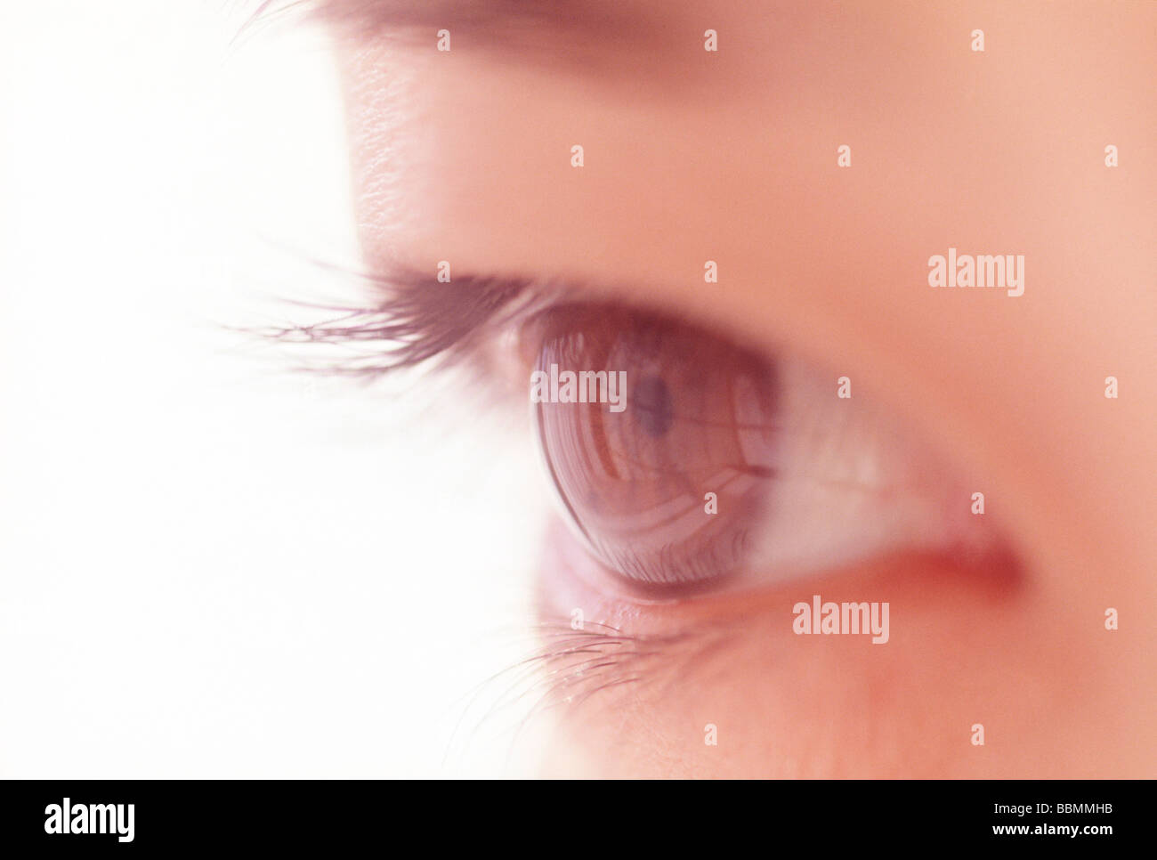 Close-up of a human eye Stock Photo - Alamy