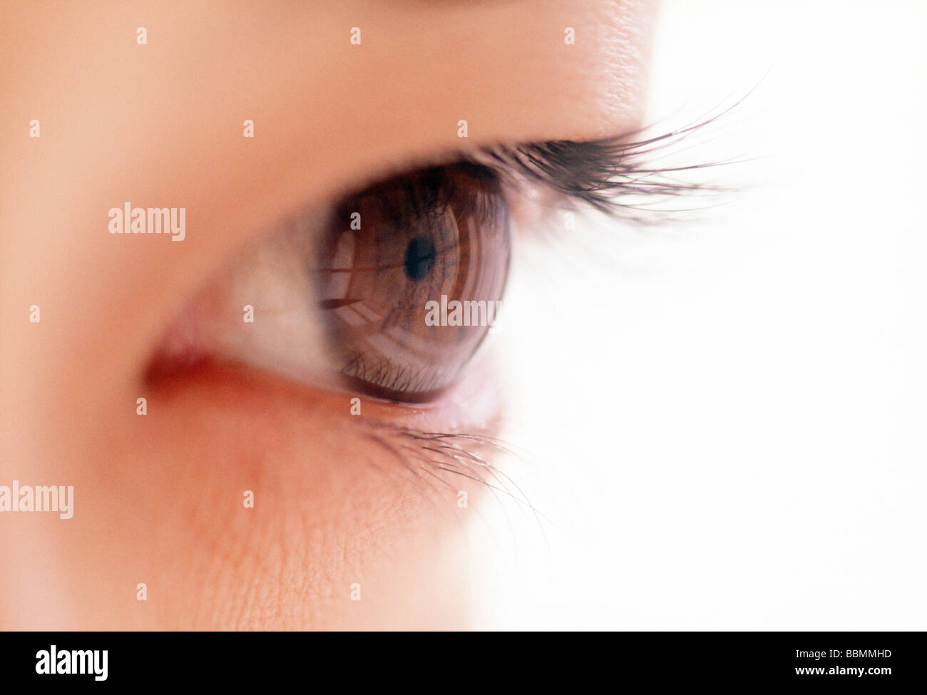 Close-up of a human eye Stock Photo - Alamy