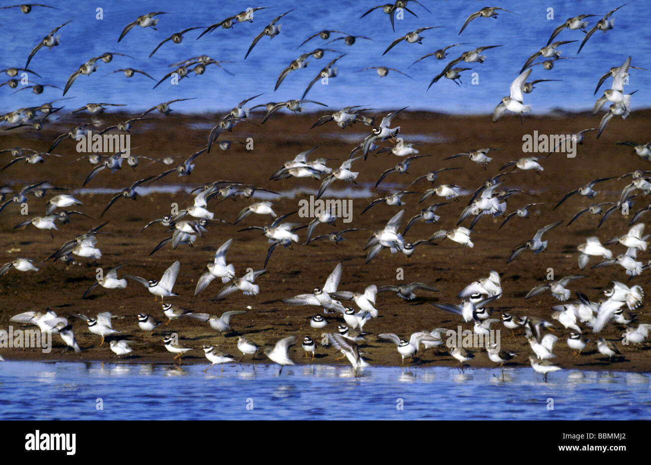 Sand spit ireland hi-res stock photography and images - Alamy