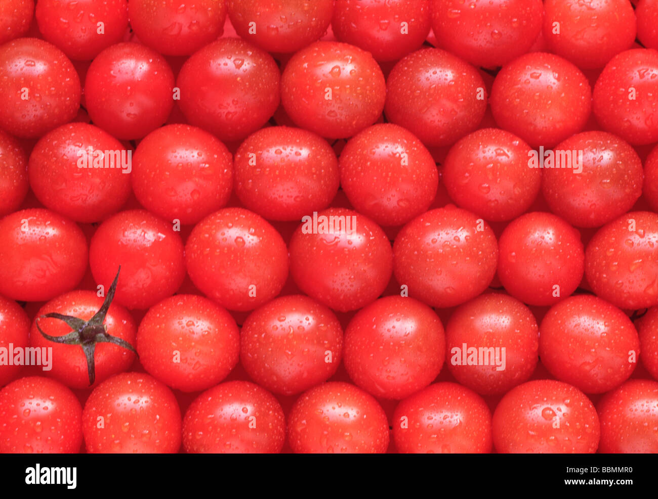Top view of a stack of tomatoes Stock Photo - Alamy