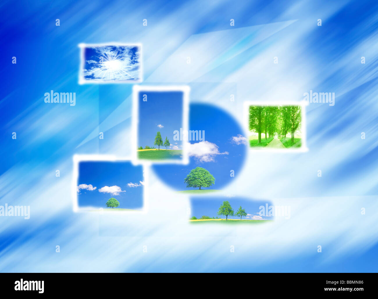 Collage of trees Stock Photo - Alamy