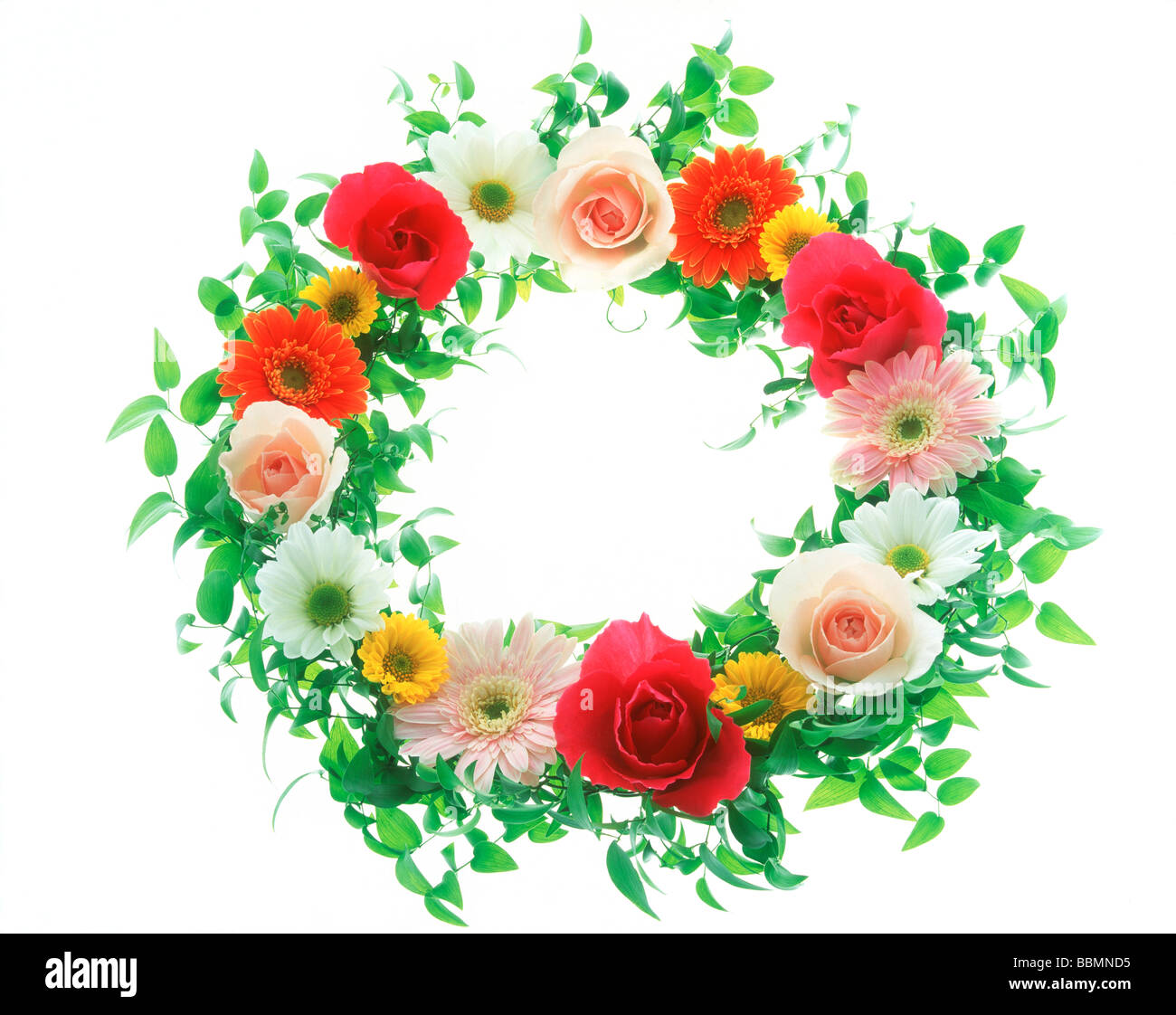 Arrangement of flowers intertwined hi-res stock photography and images ...