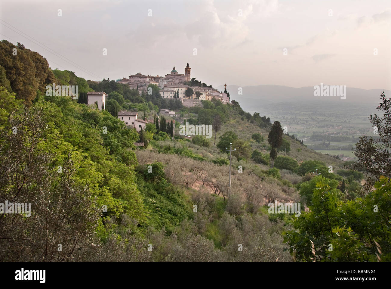 Trevi in Umbria in evening light Stock Photo - Alamy