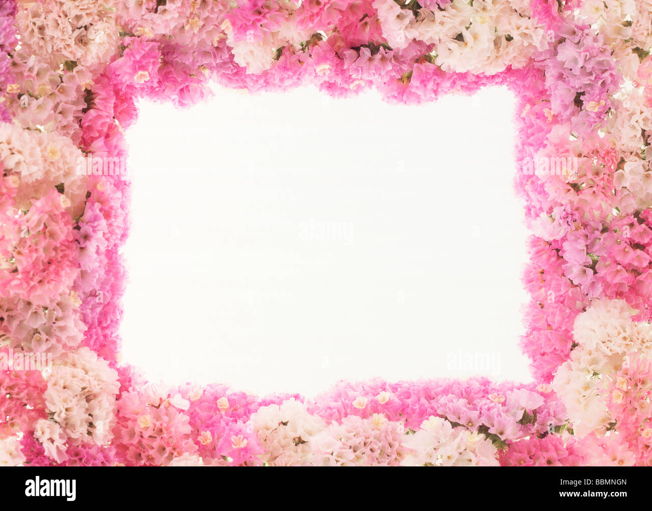 A frame of pink flowers Stock Photo - Alamy