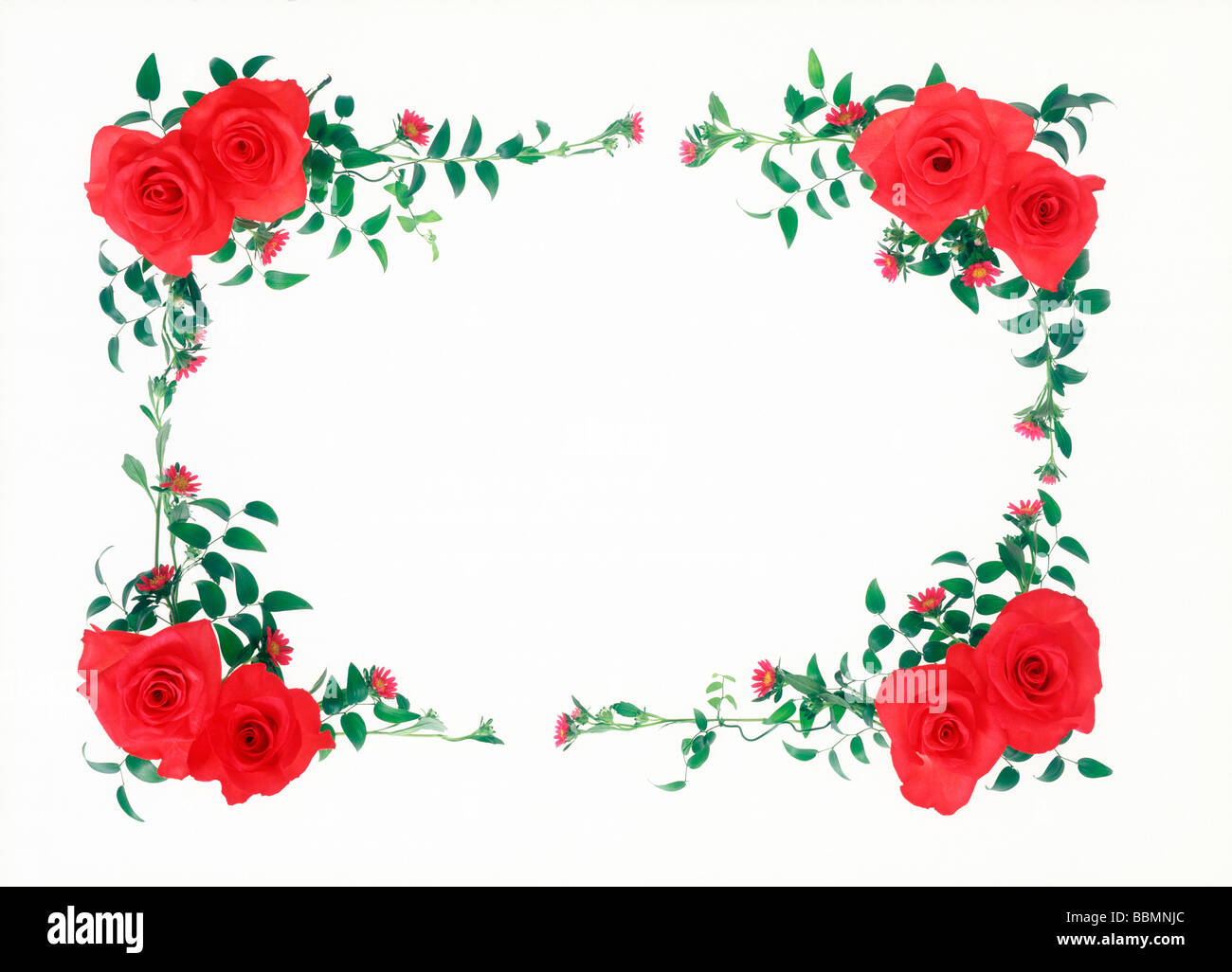 A frame of red roses Stock Photo - Alamy