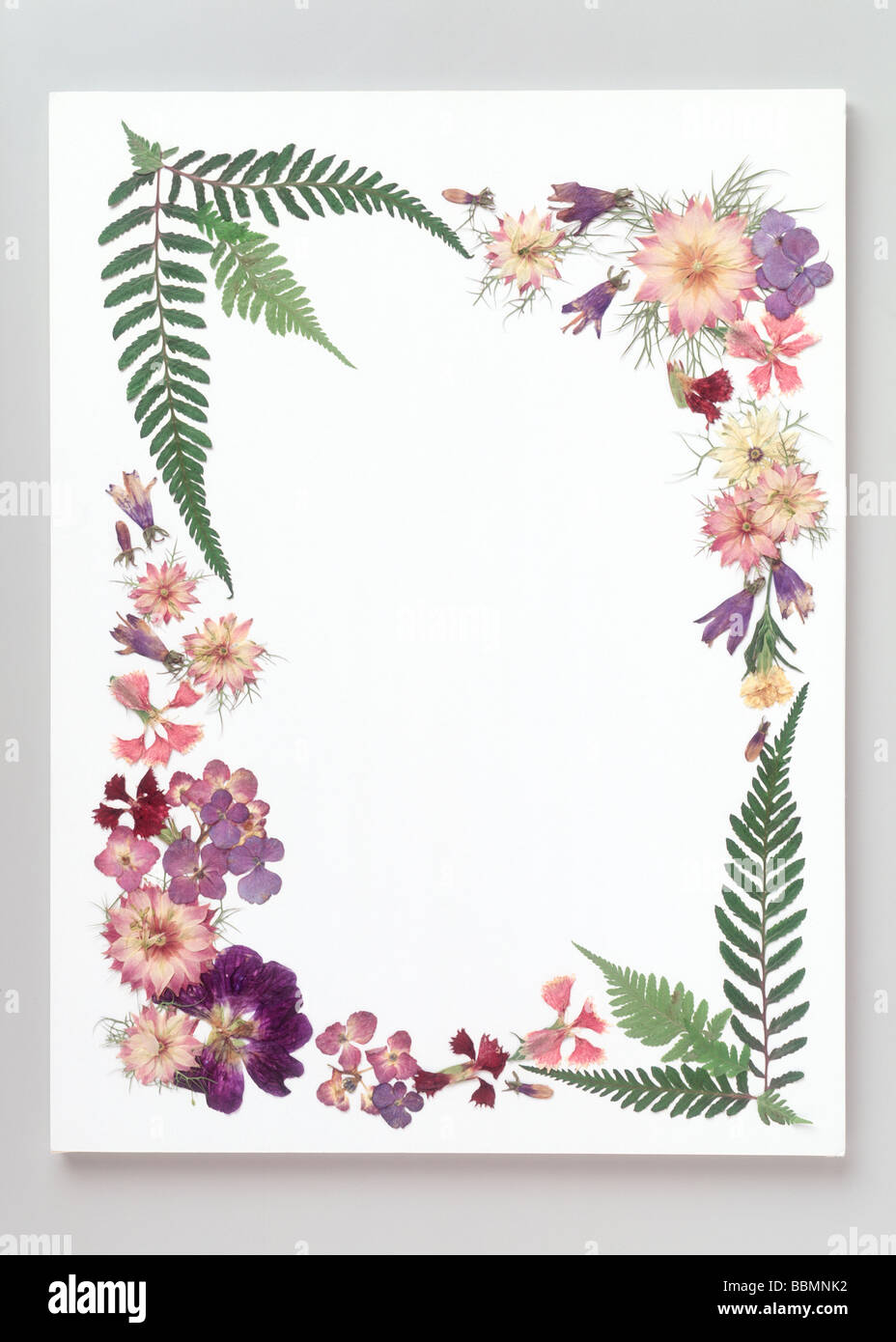 A frame of flowers and leaves Stock Photo - Alamy