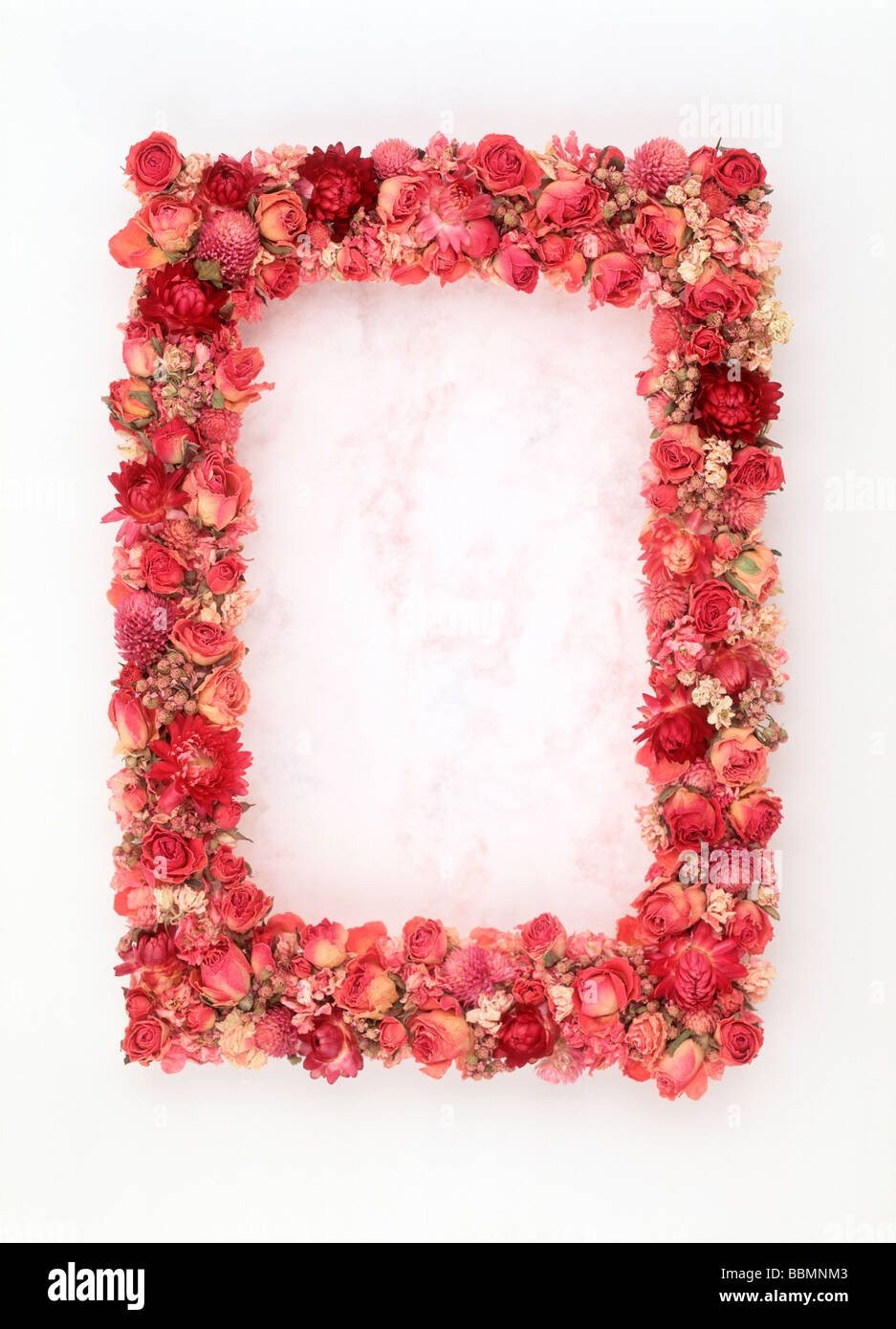 A frame of red and pink flowers Stock Photo - Alamy