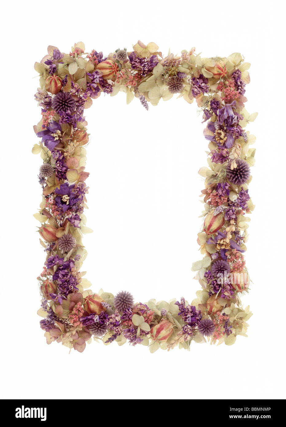 Flower into a frame Cut Out Stock Images & Pictures - Alamy