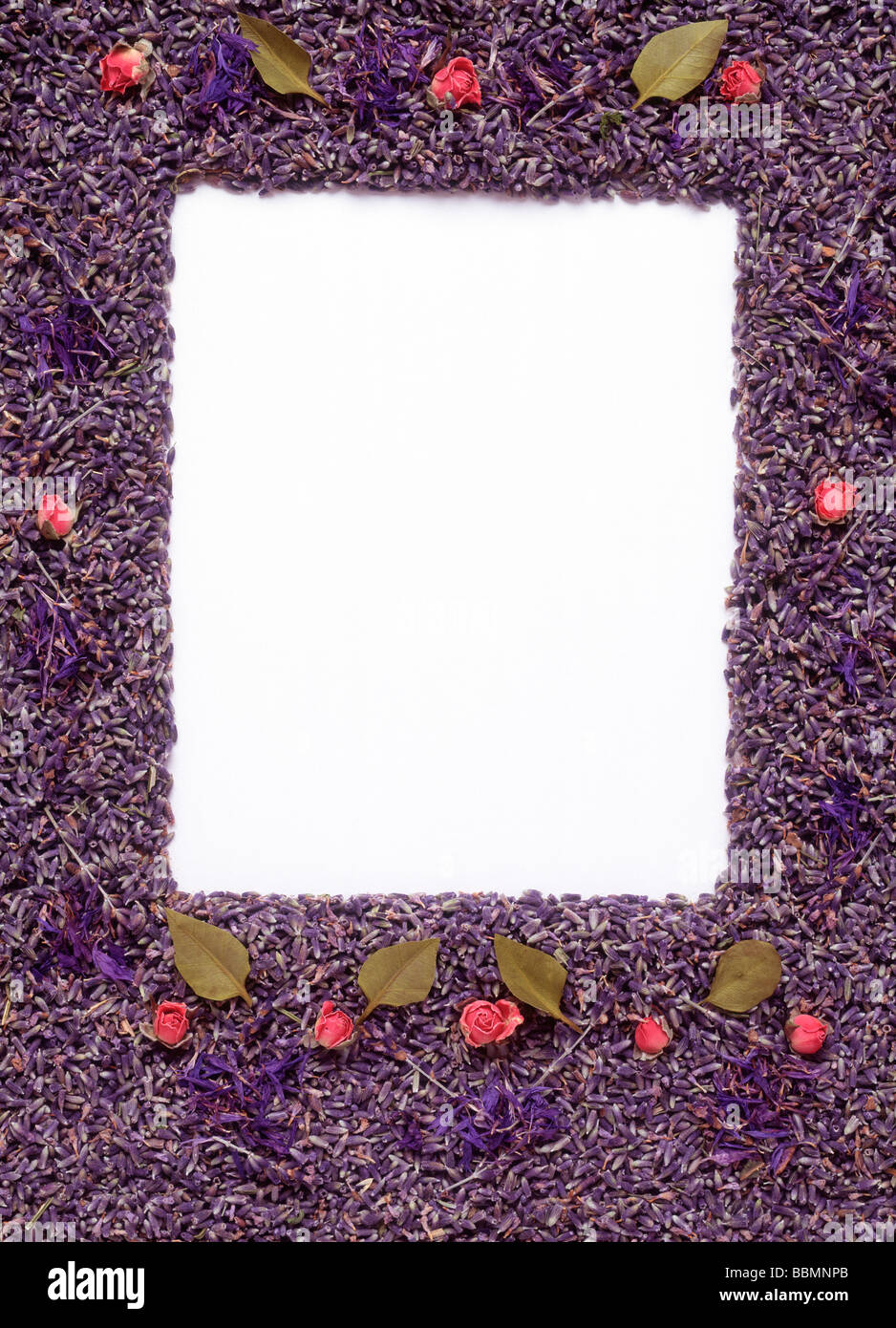 A vertical frame formed by purple buds and flowers Stock Photo - Alamy