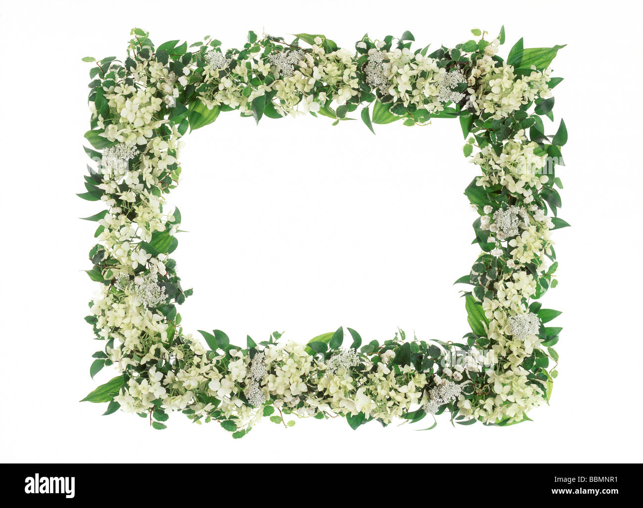 A frame of flowers and leaves Stock Photo - Alamy