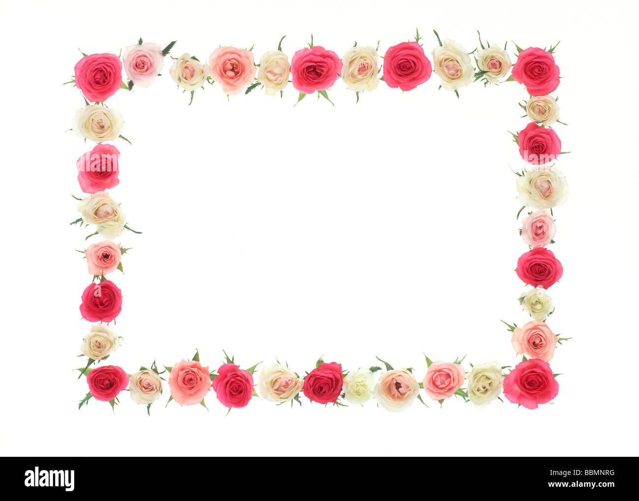 A frame of colorful roses Stock Photo - Alamy