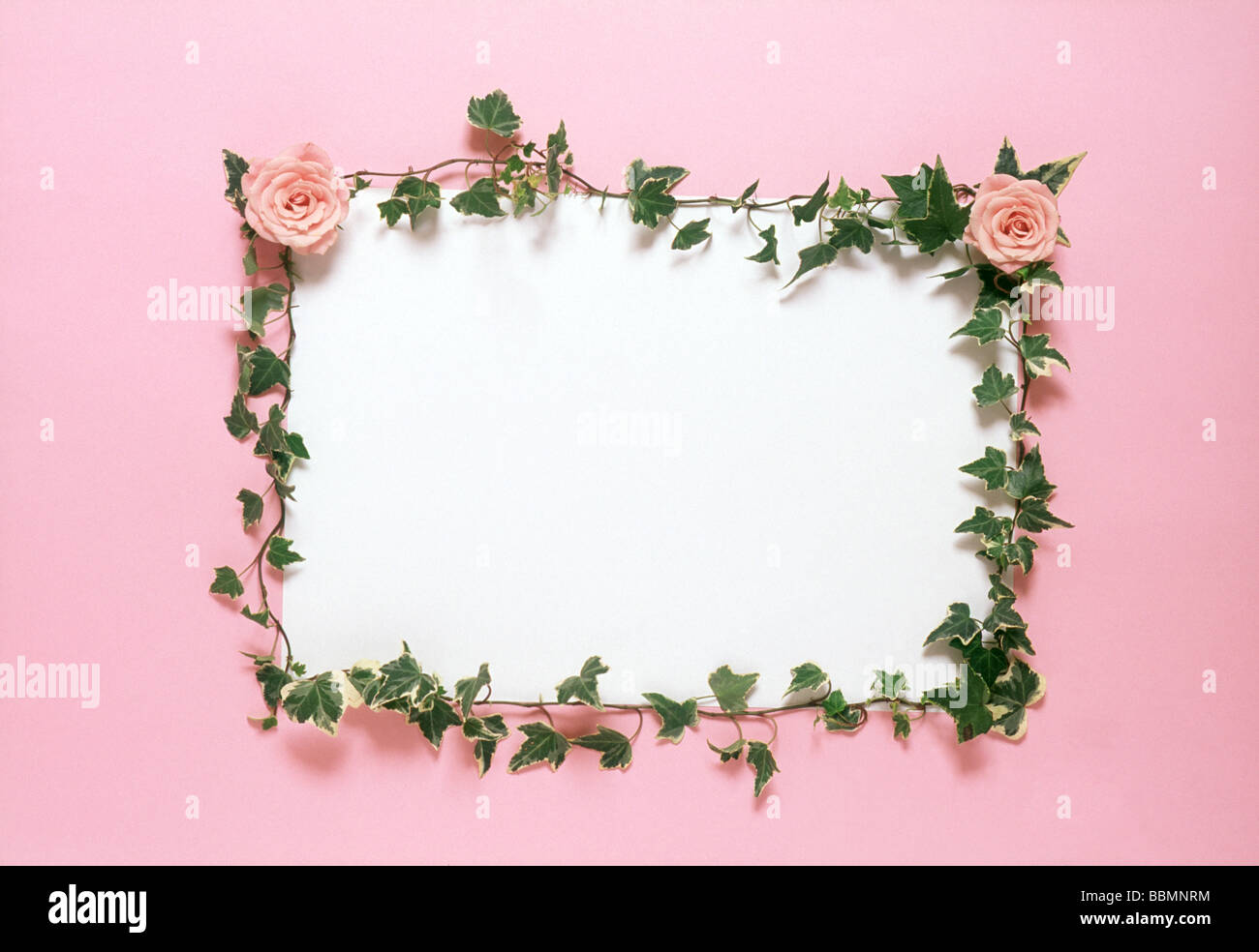 Close-up of a frame with roses Stock Photo - Alamy