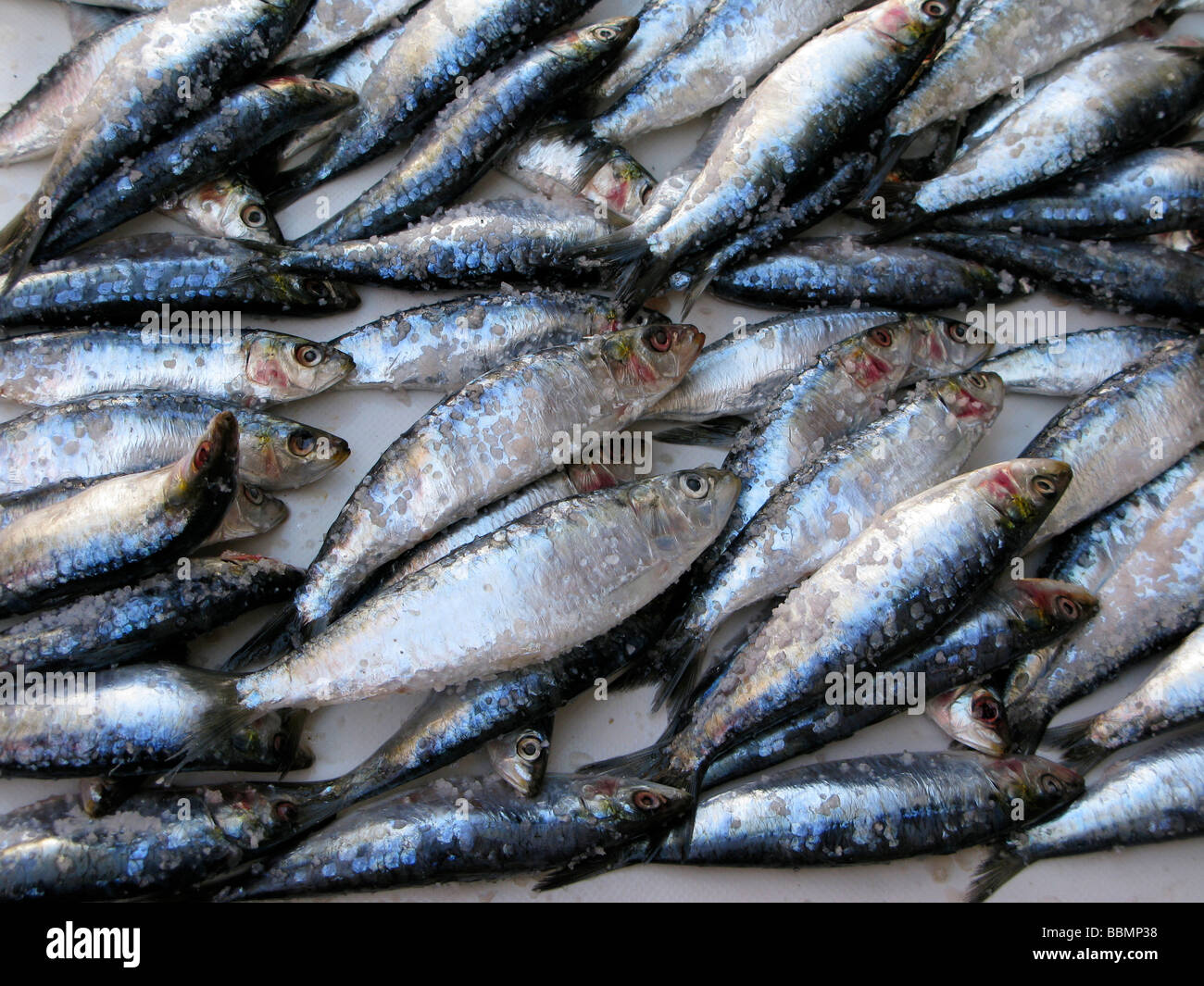 Morocco fish hi-res stock photography and images - Alamy