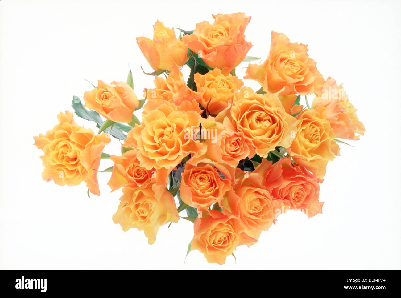 View of a bunch of yellow roses Stock Photo - Alamy