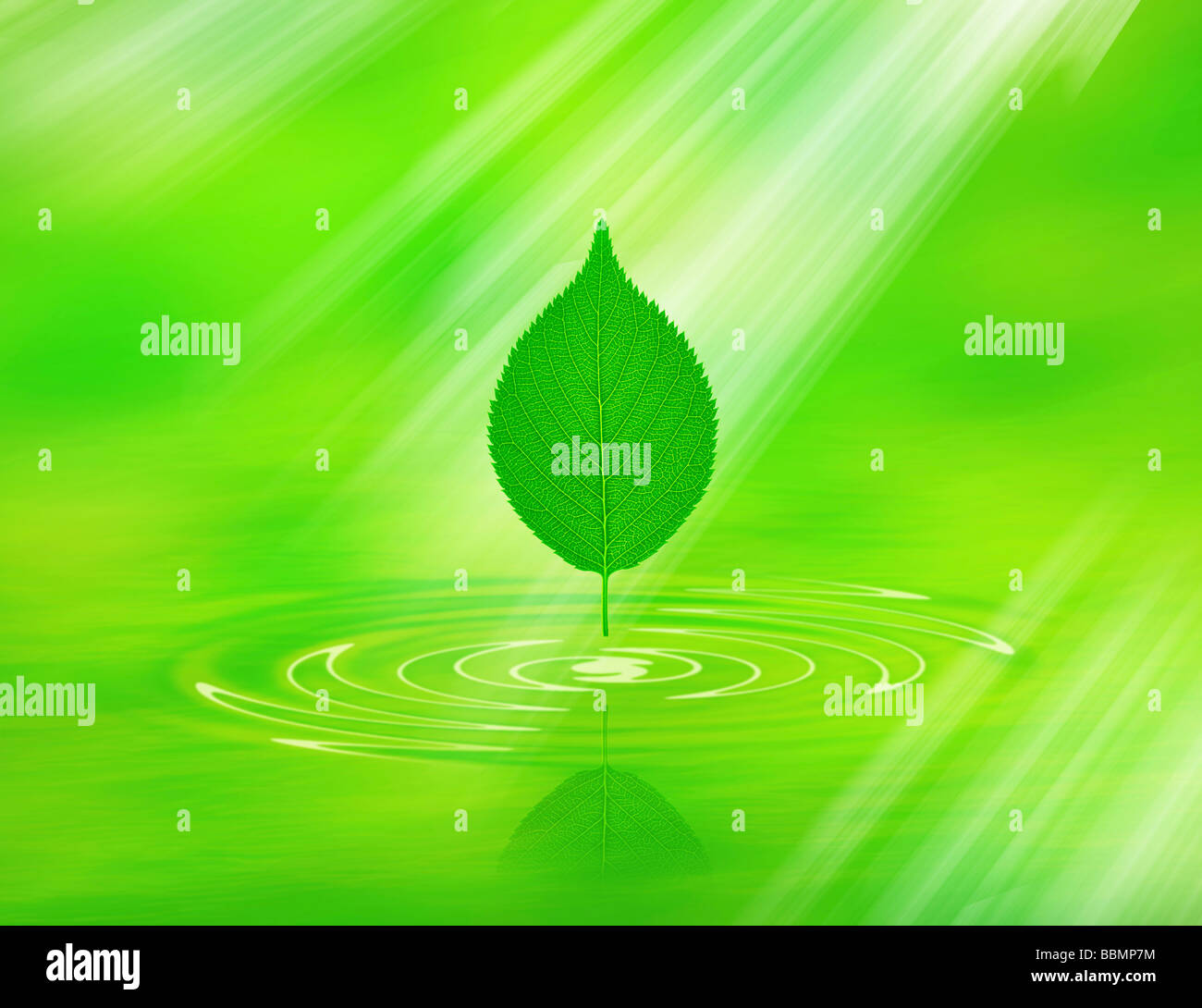 Close-up of a green leaf over water (digital composite Stock Photo - Alamy