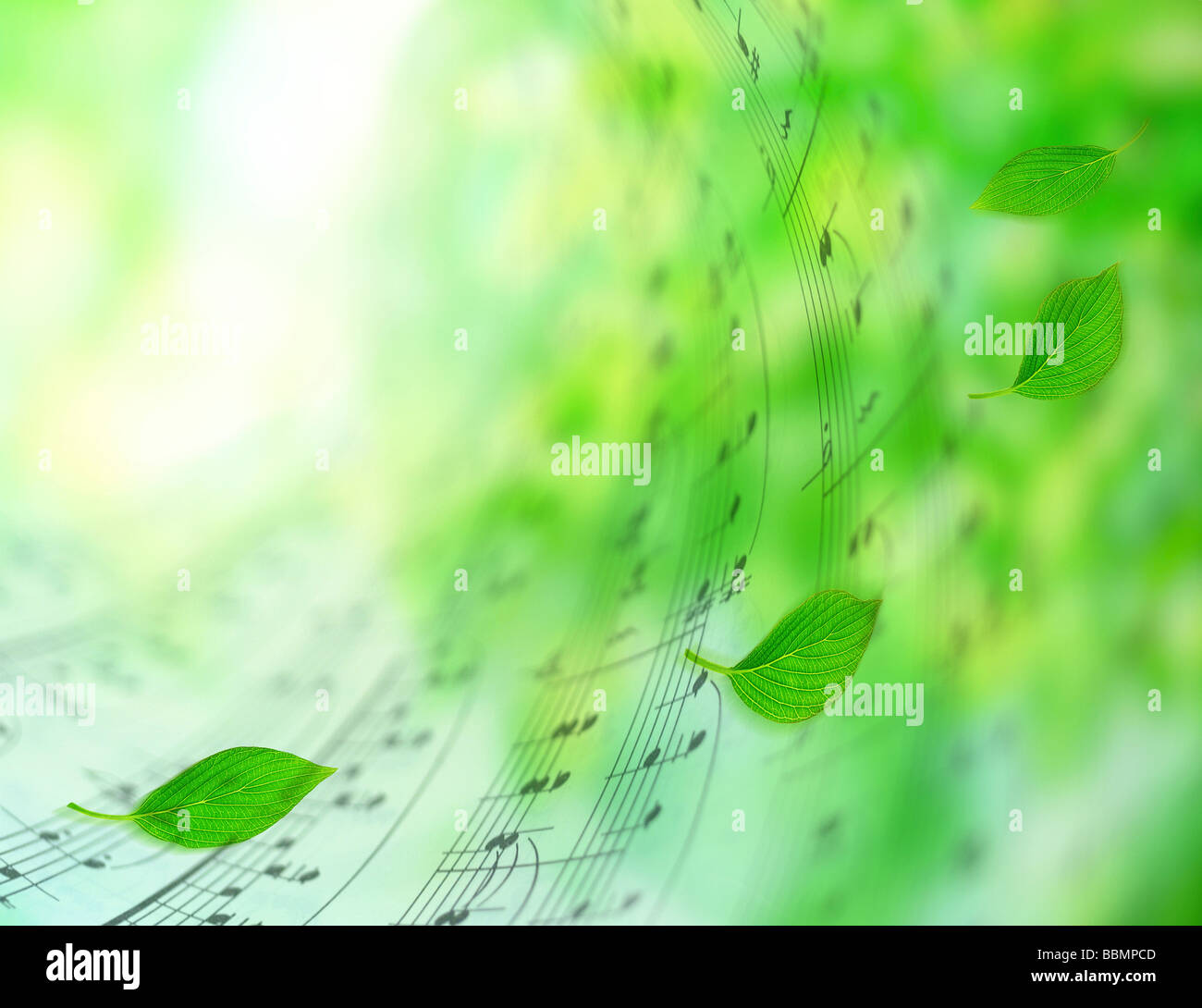 View of leaves on musical notes (digital composite Stock Photo - Alamy
