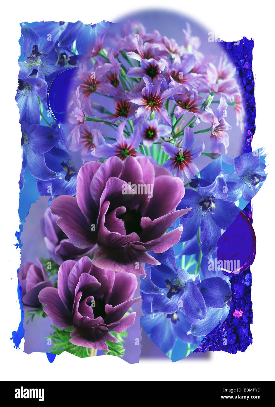 A collage of colorful flowers Stock Photo - Alamy