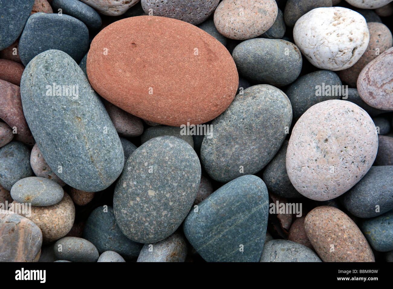 Colourfull Pebble Patterns on a beach Stock Photo - Alamy