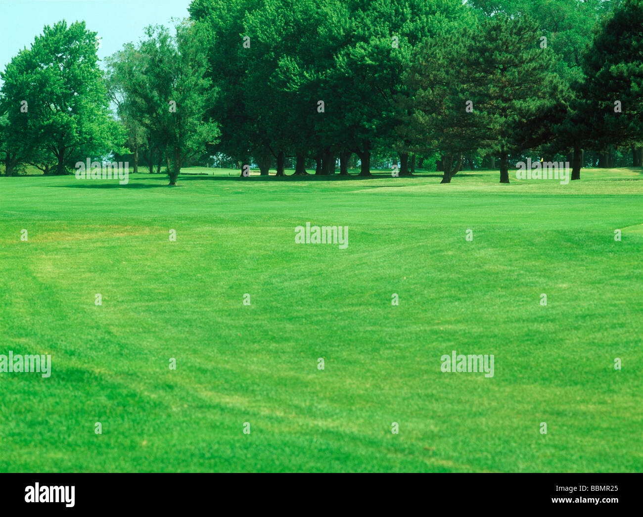 Landscape with trees Stock Photo - Alamy