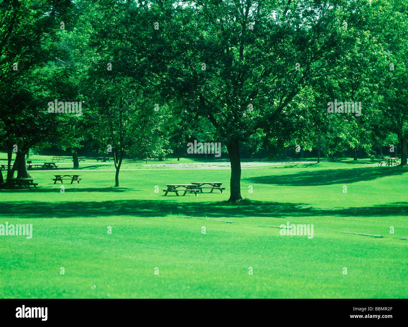 Wide area of grass with park benches Stock Photo - Alamy