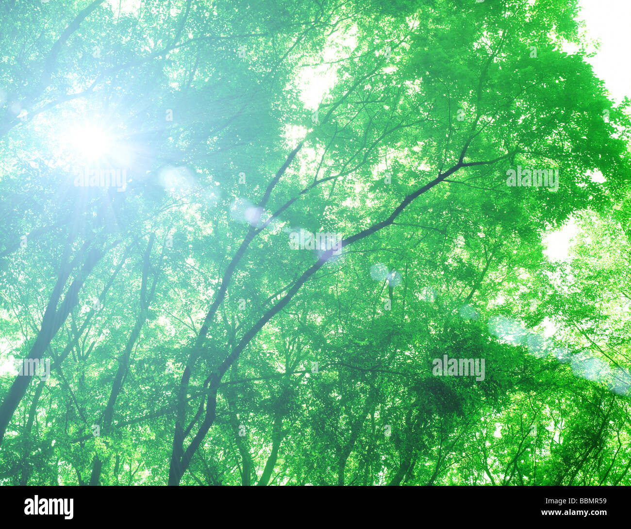 Foliated hi-res stock photography and images - Alamy