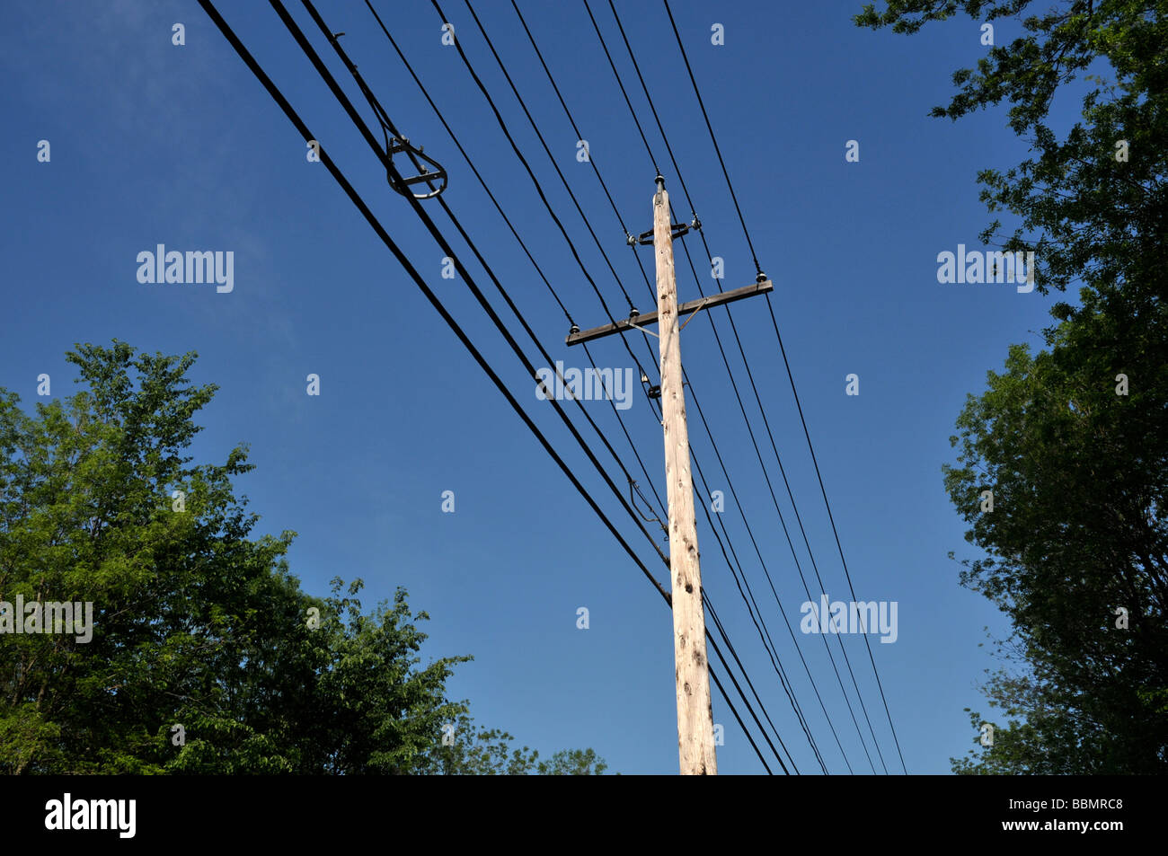 Telephone or utility pole Stock Photo - Alamy