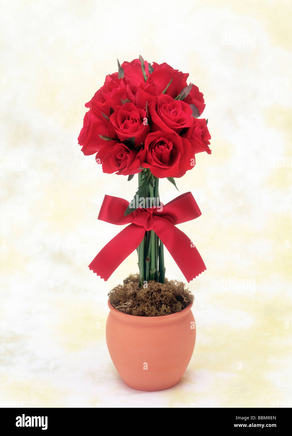 Stalks tied with ribbon hi-res stock photography and images - Alamy