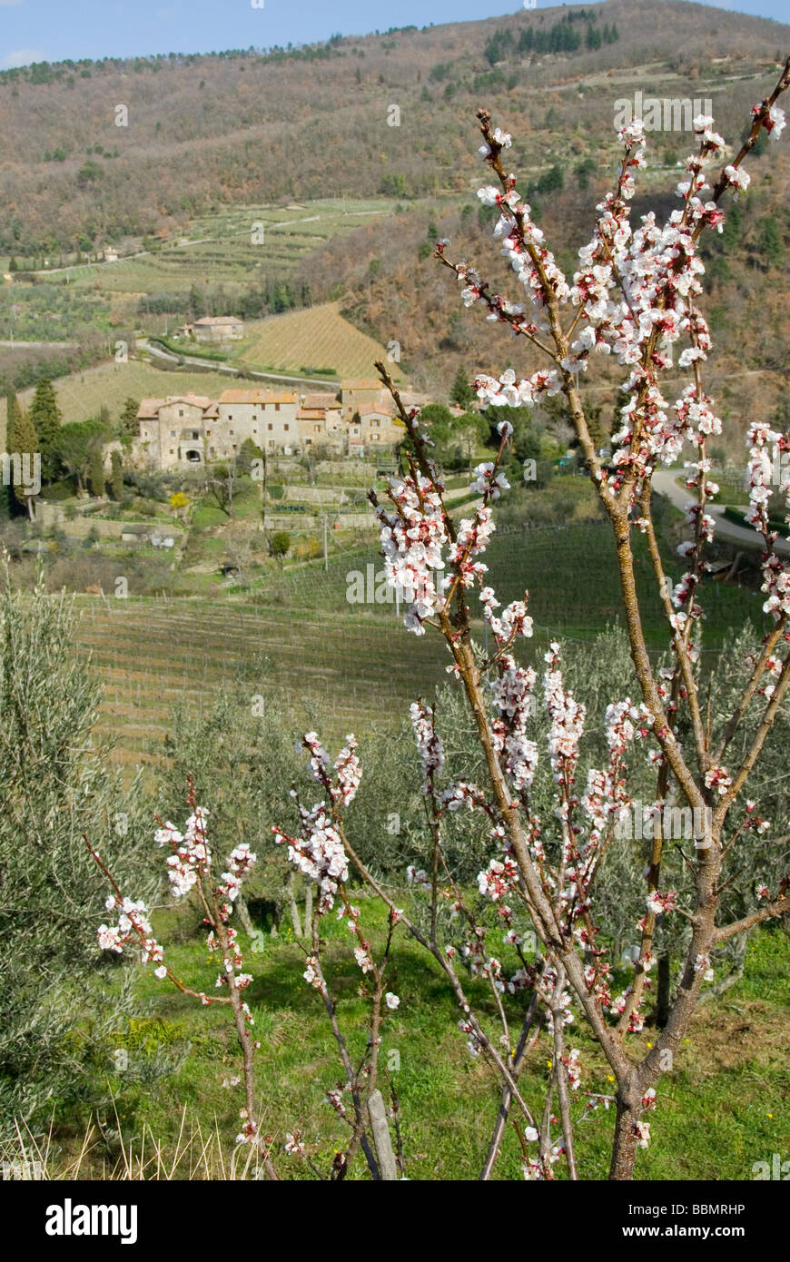 Spring in toscana hi-res stock photography and images - Alamy