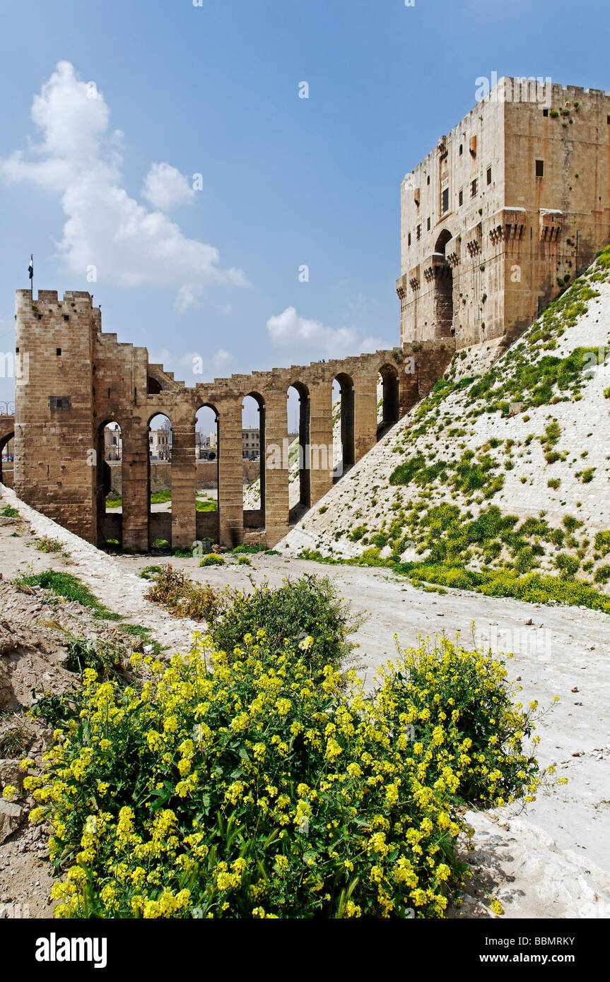 Syrian bridge hi-res stock photography and images - Alamy