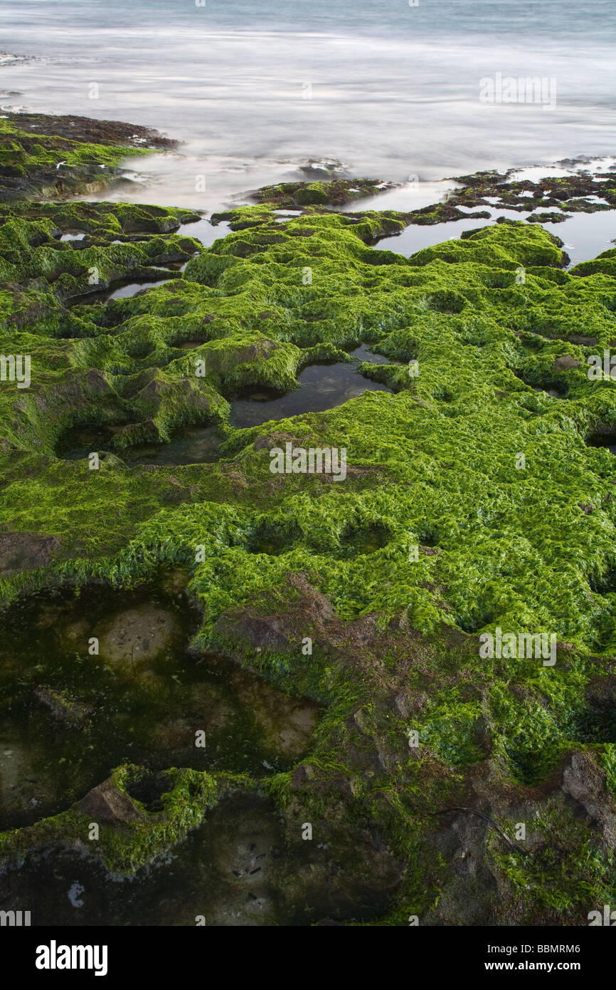 Jagged line hi-res stock photography and images - Alamy