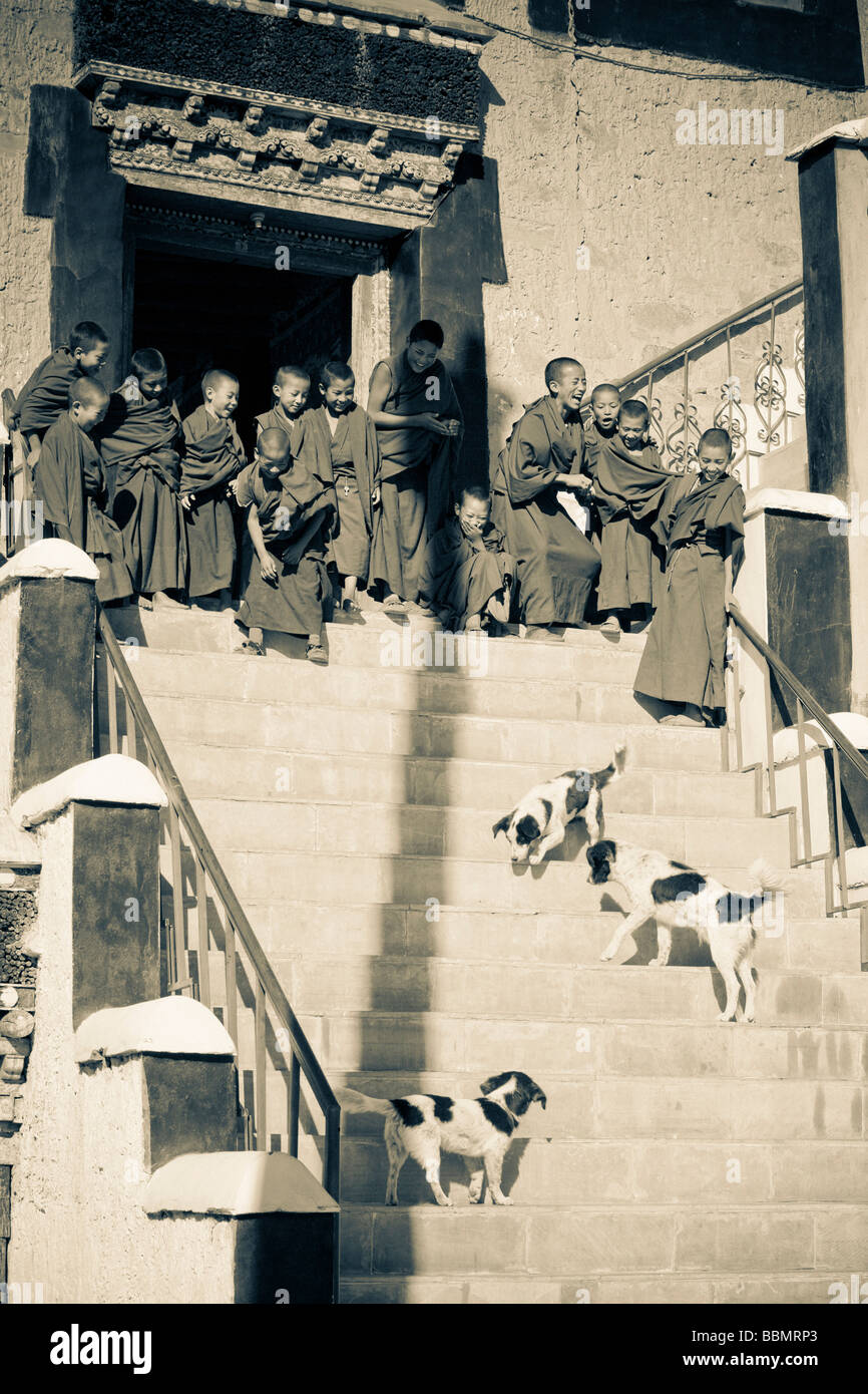 Buddhist monks enjoying hi-res stock photography and images - Alamy