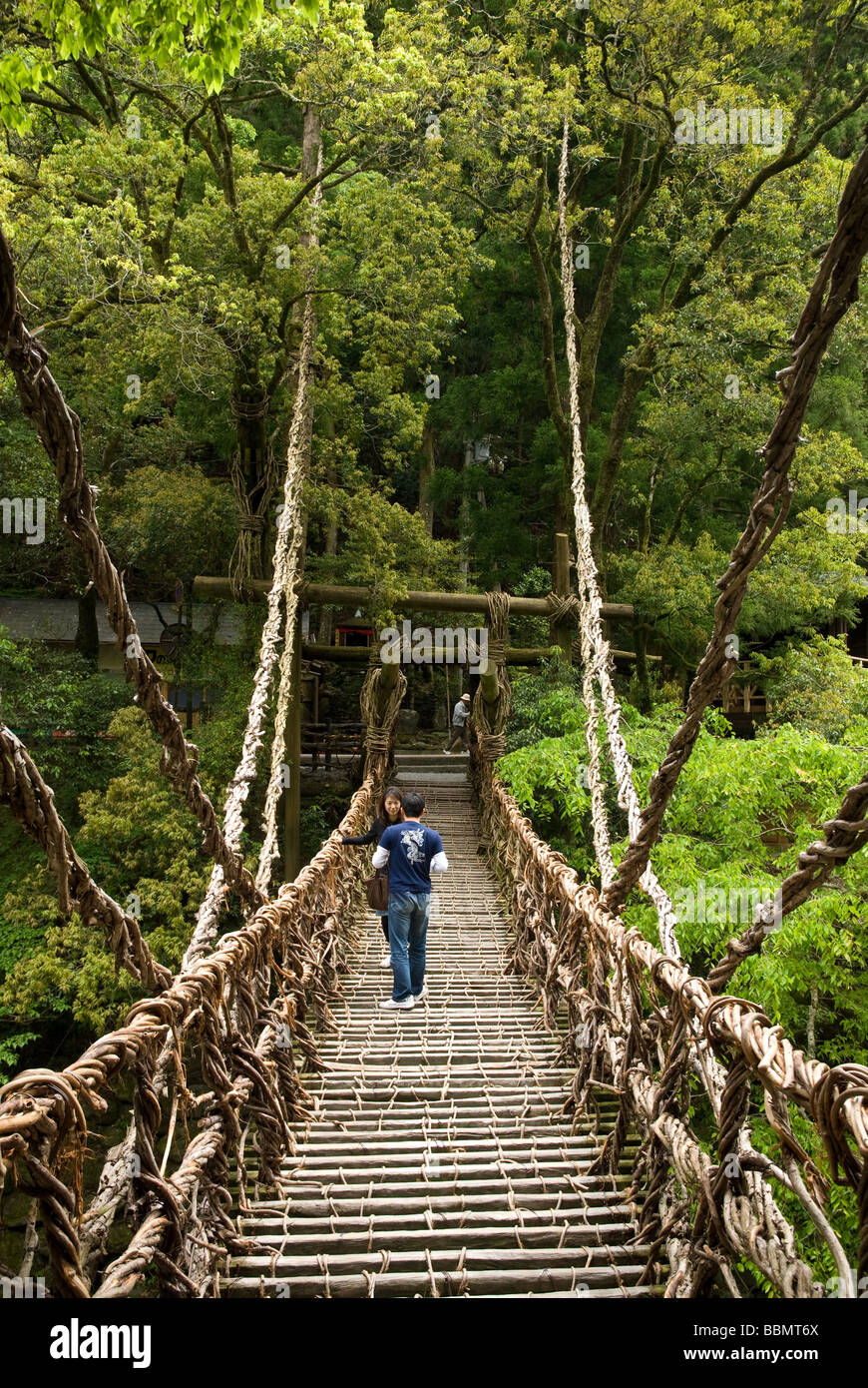 Kazurabashi Vine Bridge in the Iya Valley of Shikoku, Japan Stock Photo ...