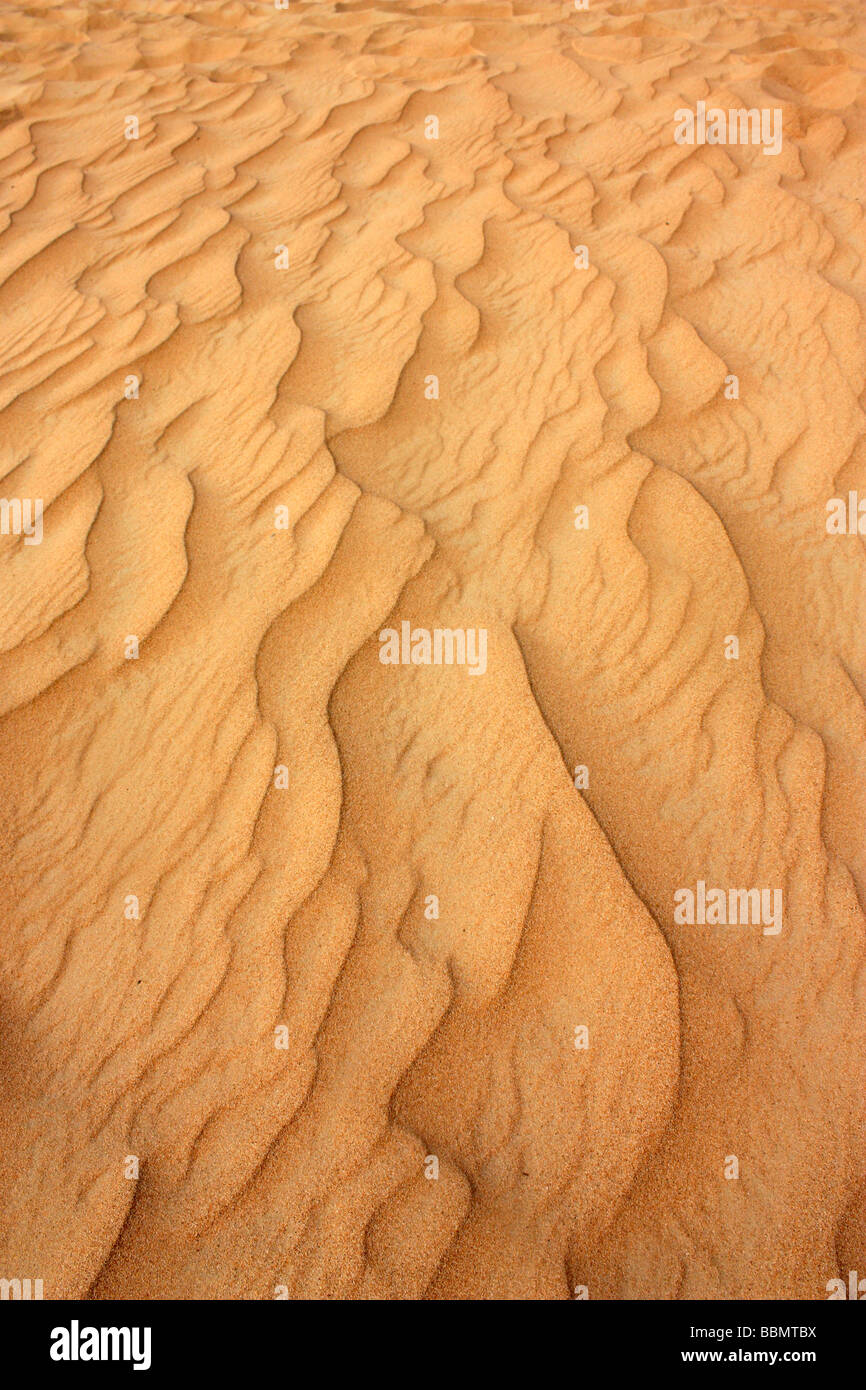 desert sand windblown Stock Photo - Alamy