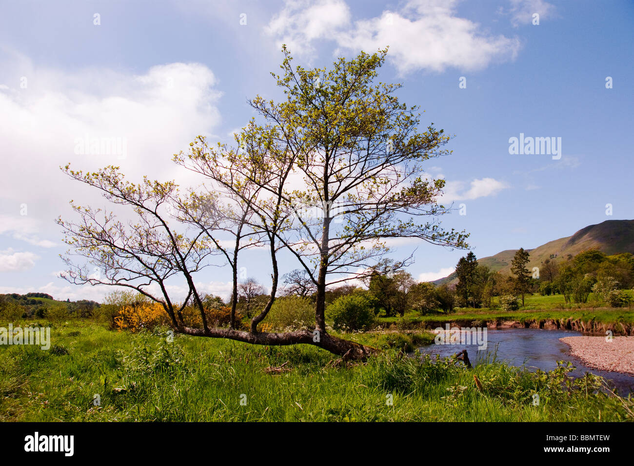 Tillicoultry river devon hi-res stock photography and images - Alamy