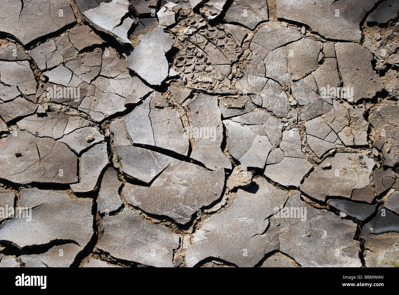 Cracked peeling desert soil hi-res stock photography and images - Alamy