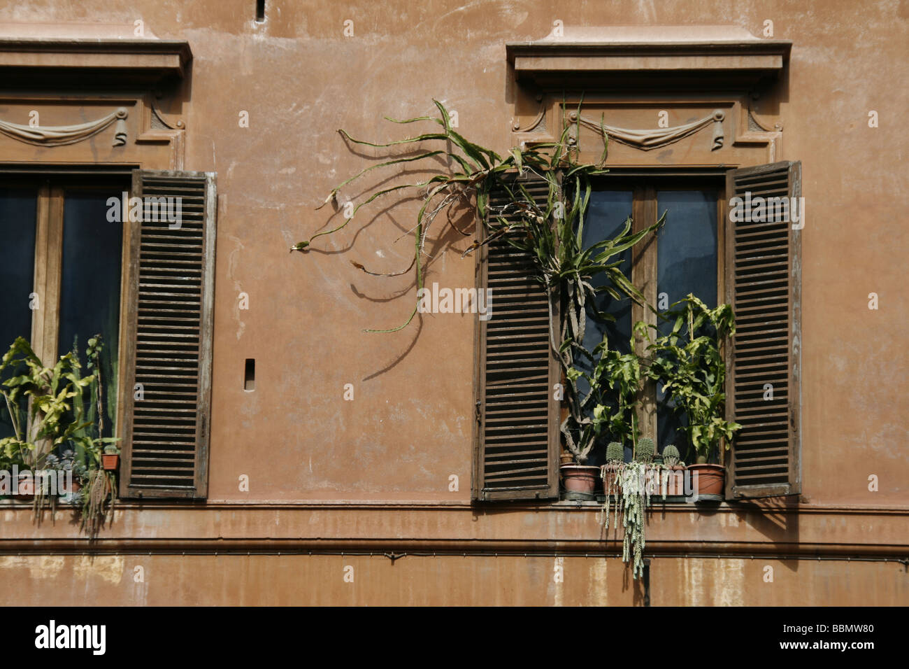 overgrown pot plants in window in rome italy Stock Photo - Alamy