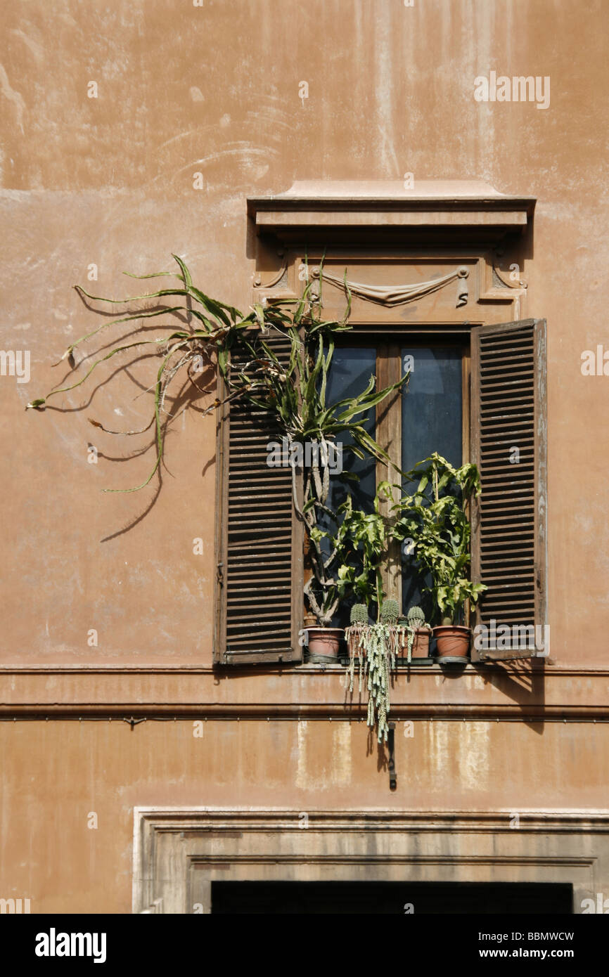 Balcony with overgrown plants hi-res stock photography and images - Alamy