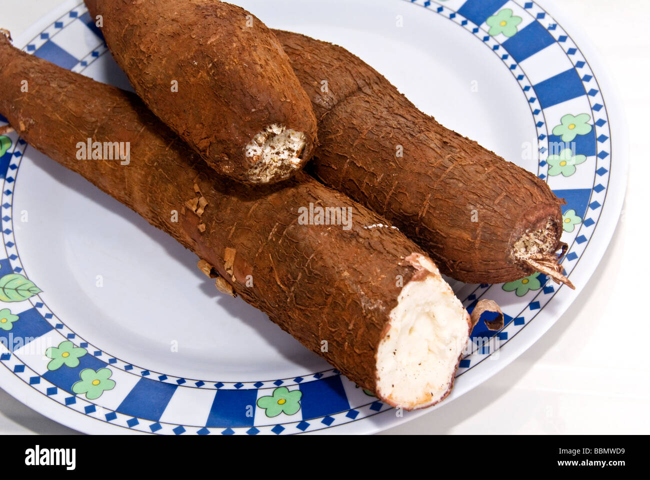 Yucca root hi-res stock photography and images - Alamy