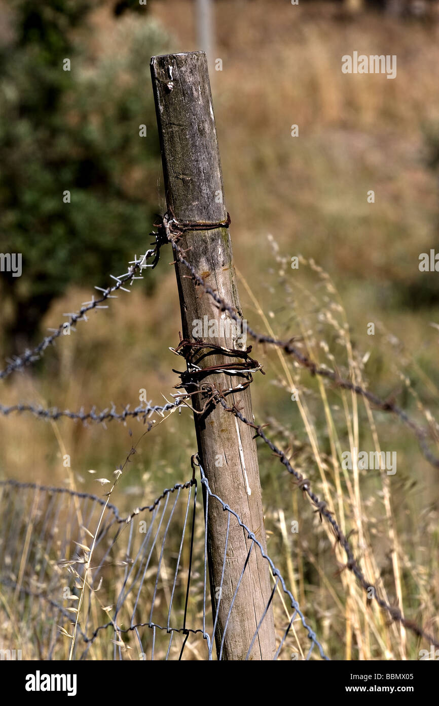 a fence post with barbed wire Stock Photo - Alamy