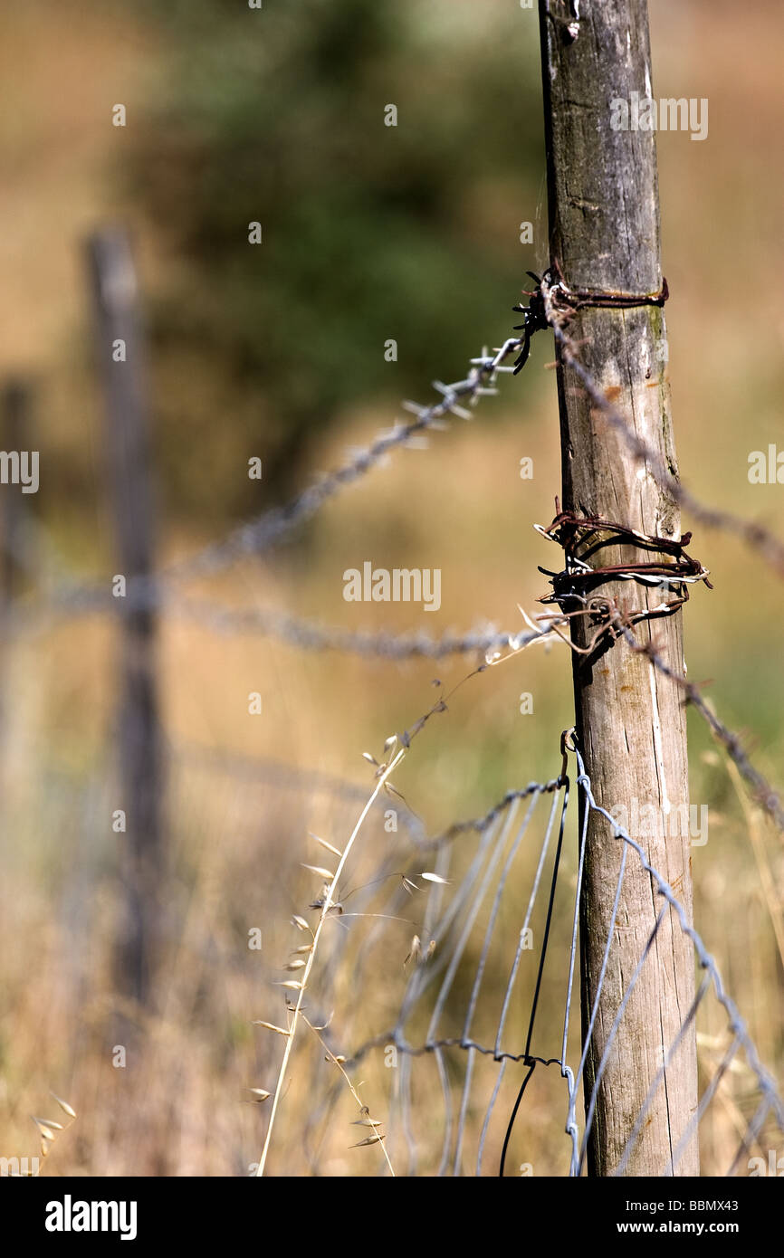 Barb wire fence post High Resolution Stock Photography and Images - Alamy